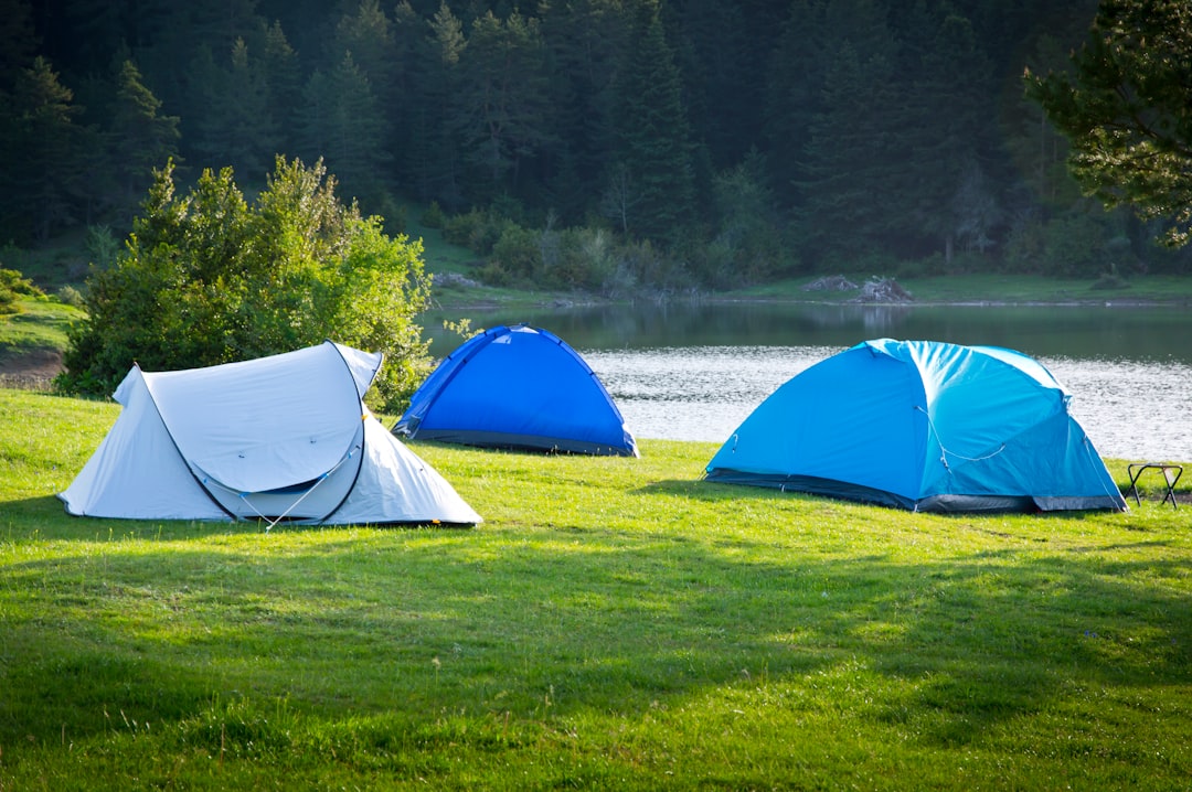 Camping Checklist Printable - Everything You Need to Pack | Campsitekit